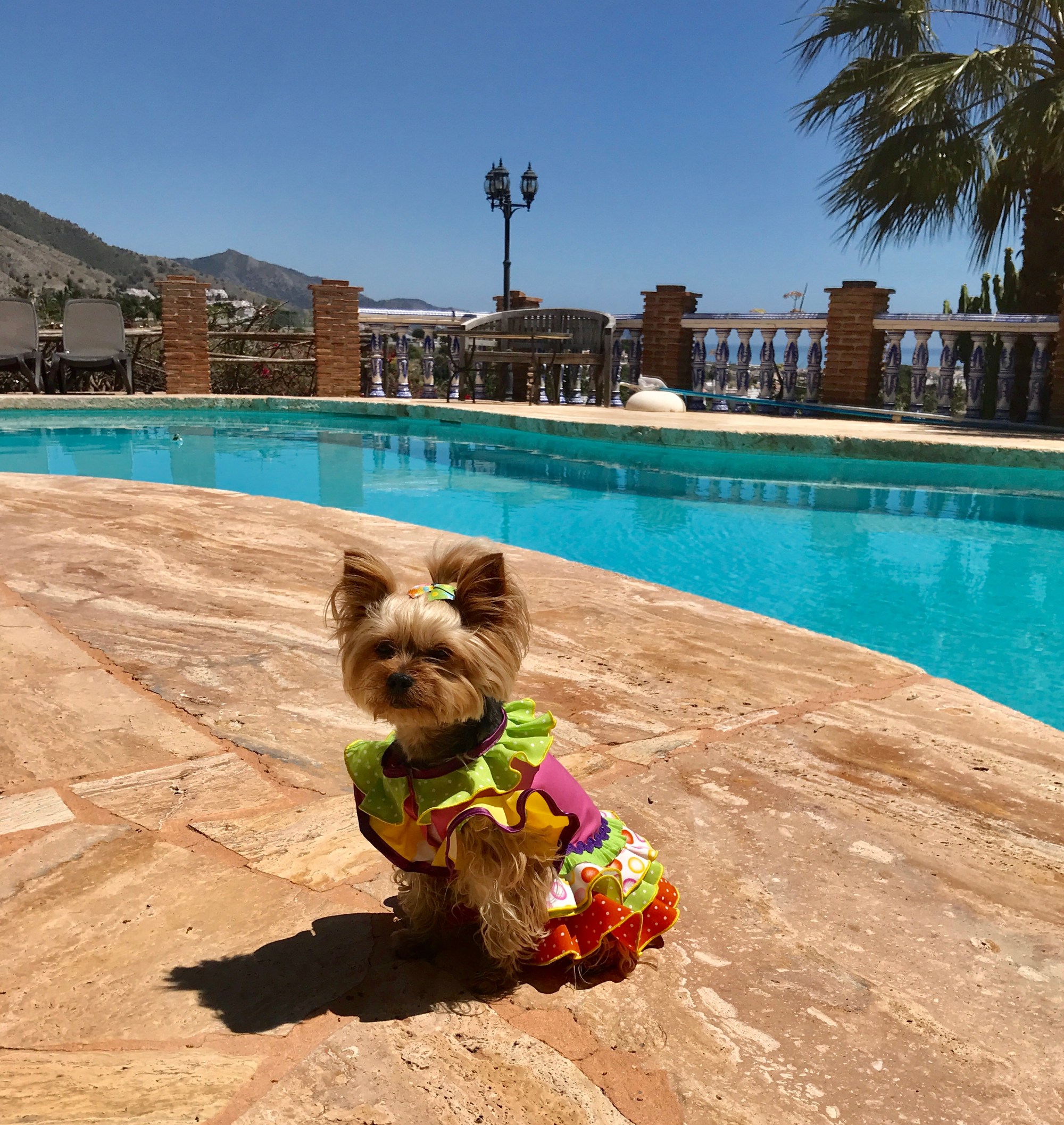 The Spanish “Lisp”: Myth or Reality – Two Retired Canadians & a Dog in ...